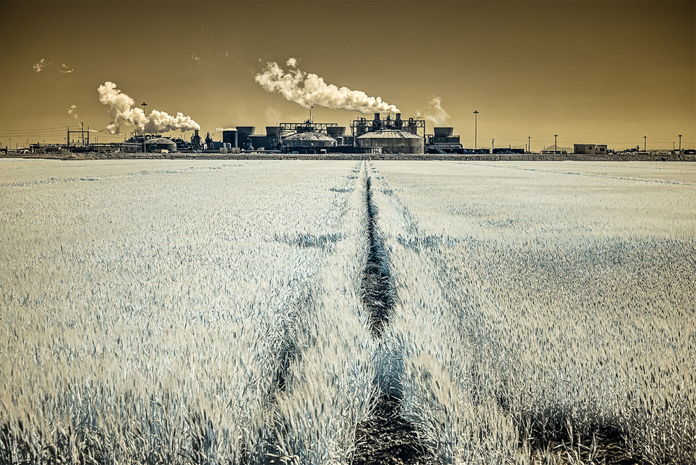 Rift: Unearthing the Divide Along the San Andreas Fault - LensCulture