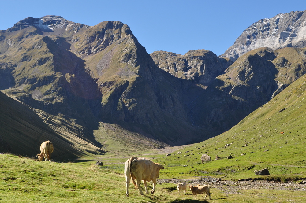 Hamish Porter - Les Estives - the summer pastures | LensCulture