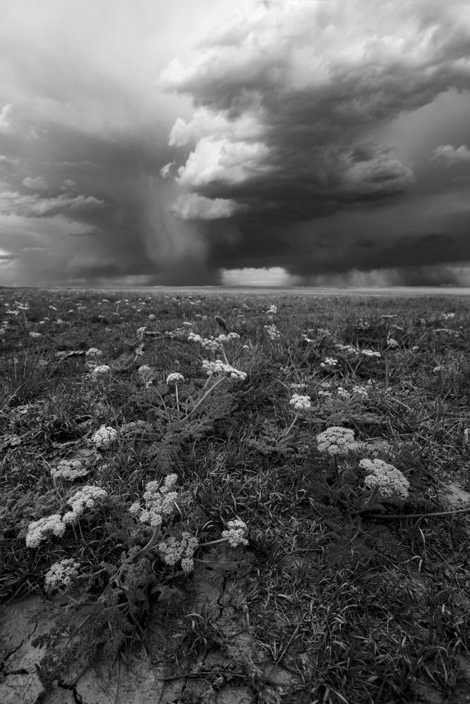 Thomas Croce - Untitled | LensCulture