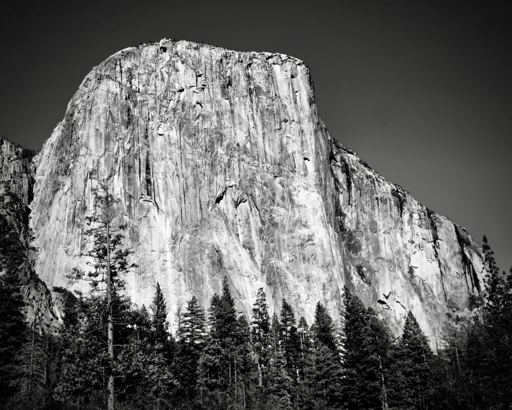 Deborah Bateman - Risk Blossoming Adventures | LensCulture