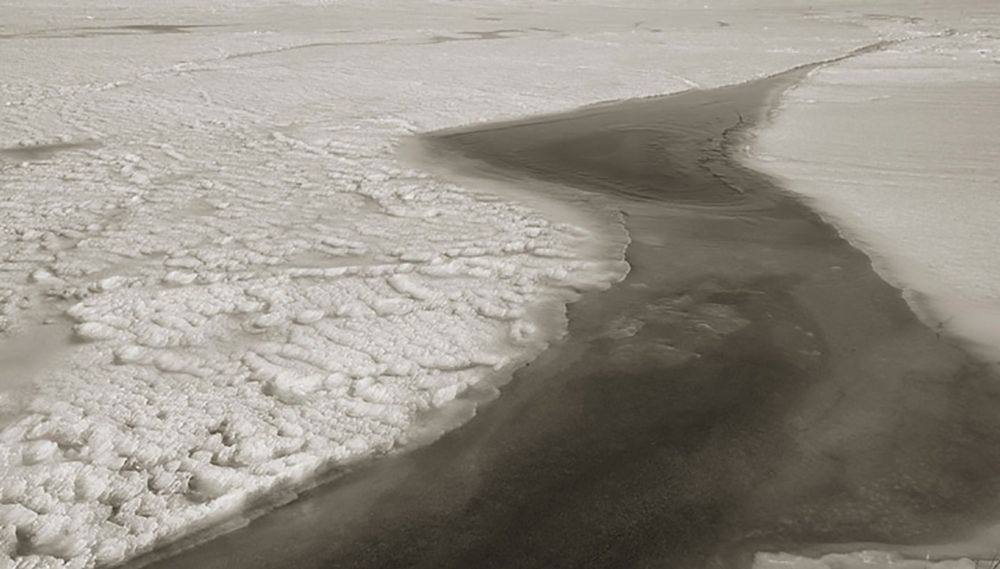 Ron Tarver - Land Sea Air | LensCulture