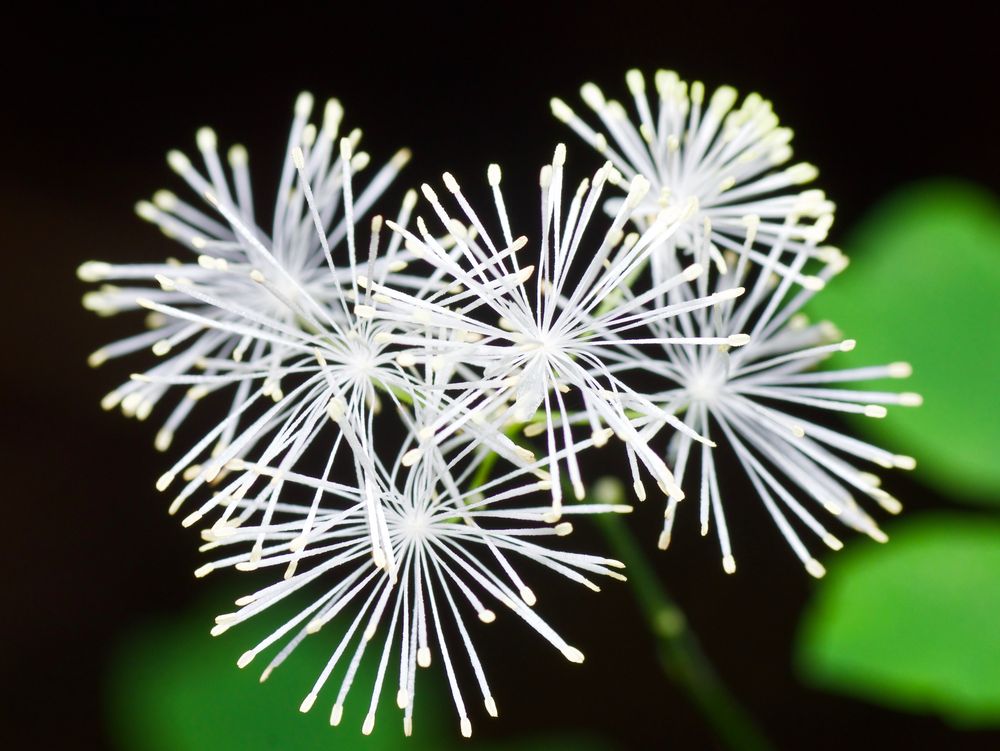 Yan Roussel - Submission | LensCulture