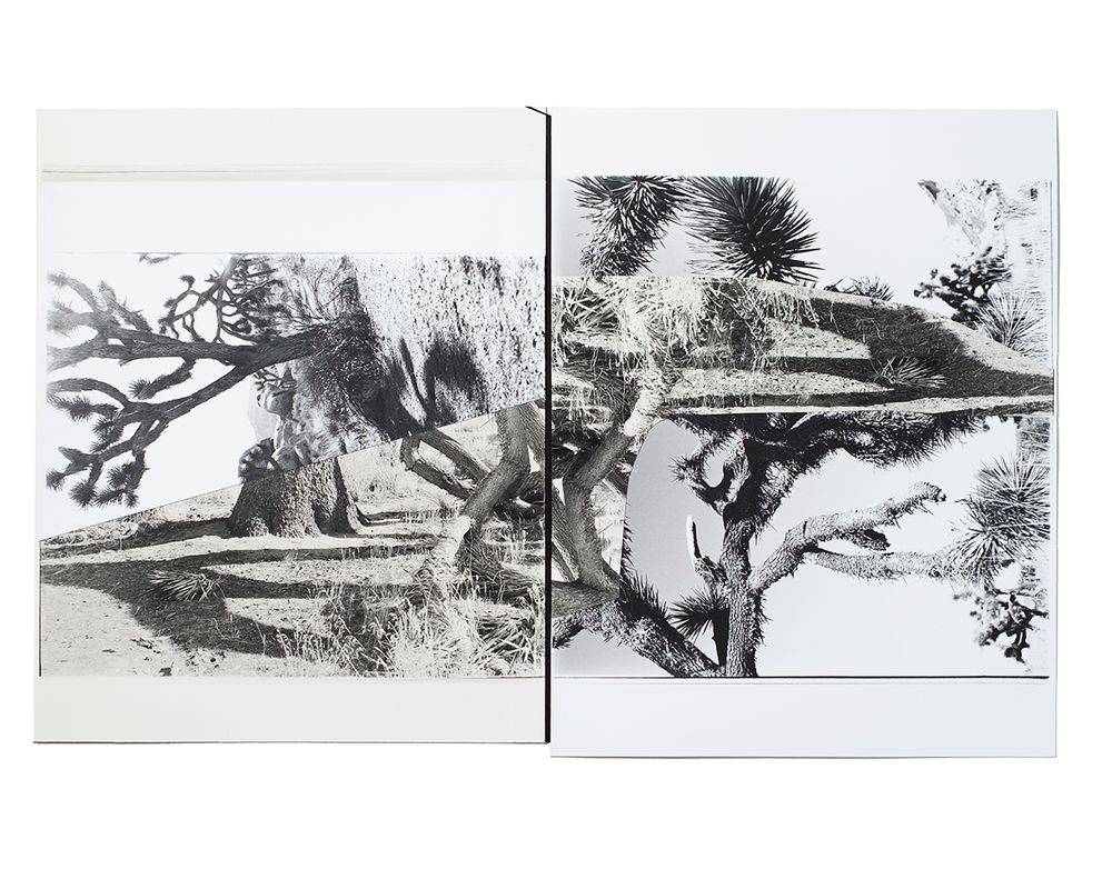 Charles Purvis - Joshua Tree Book | LensCulture