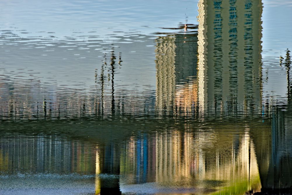 Jesús Castañeda del Moral - Submission | LensCulture