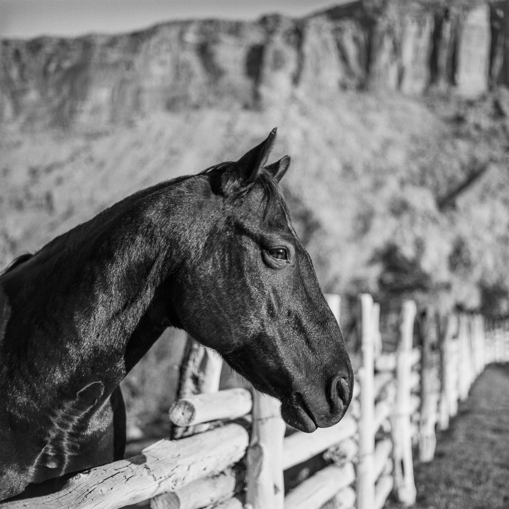 Jeremy Brenner - Submission | LensCulture