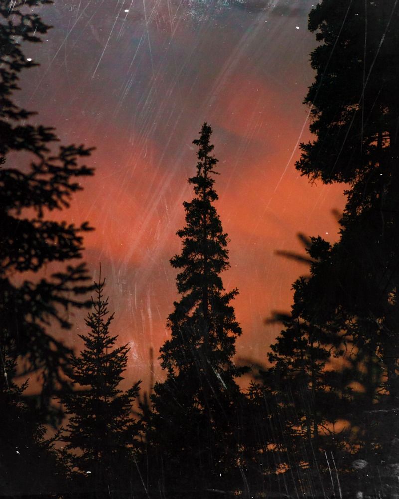 Paul Jimenez Thulin - Pine Tree Ballads | LensCulture