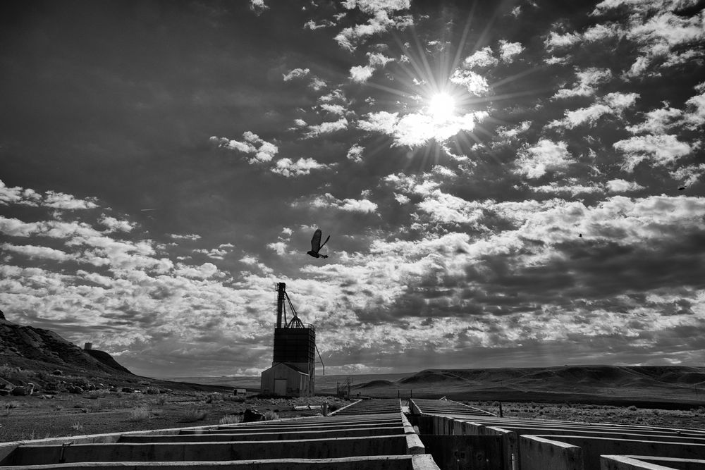 John Bookout - Abandoned in Delta | LensCulture