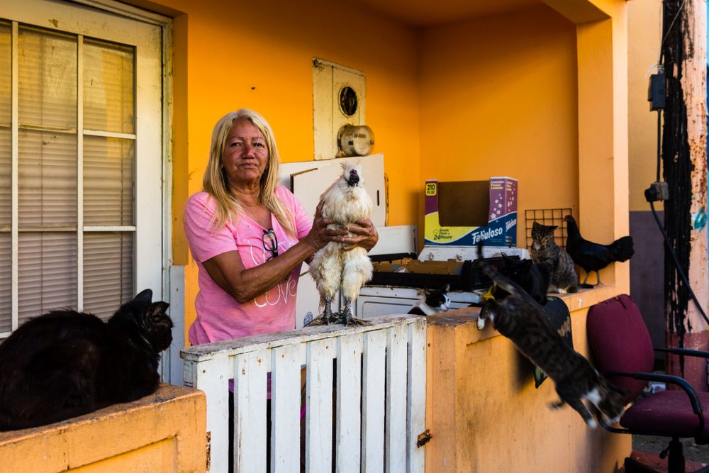 Osman Sharif - Portraits over the time | LensCulture