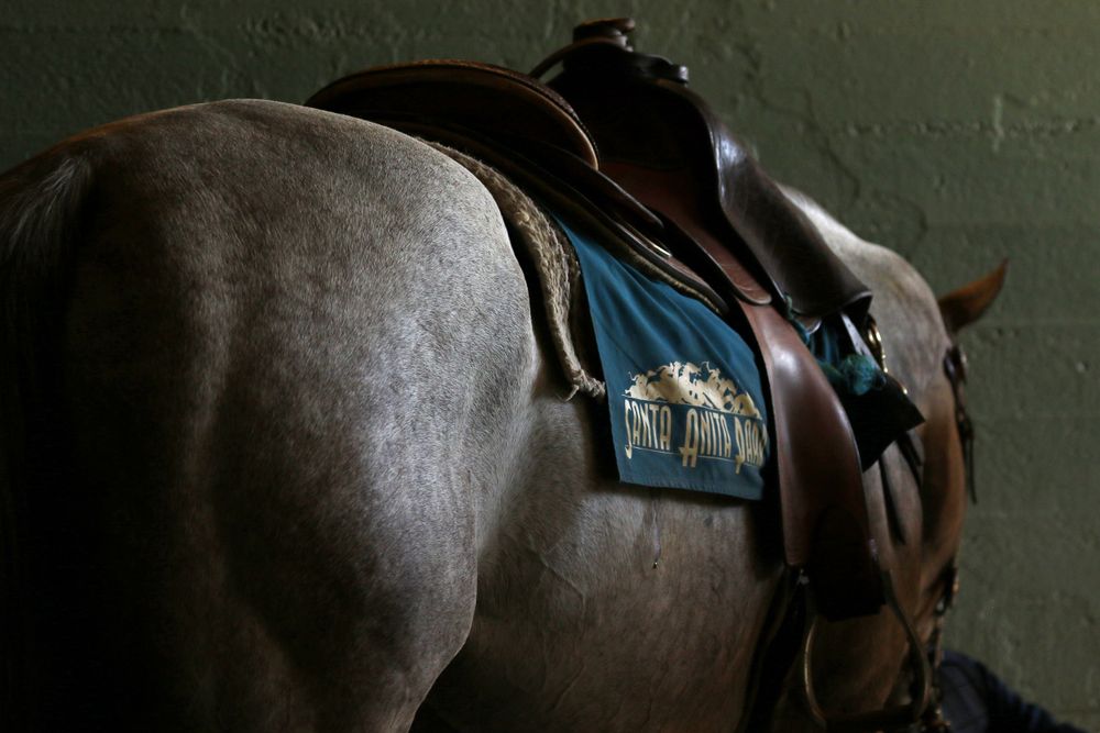 Debbie Burt - Untitled | LensCulture