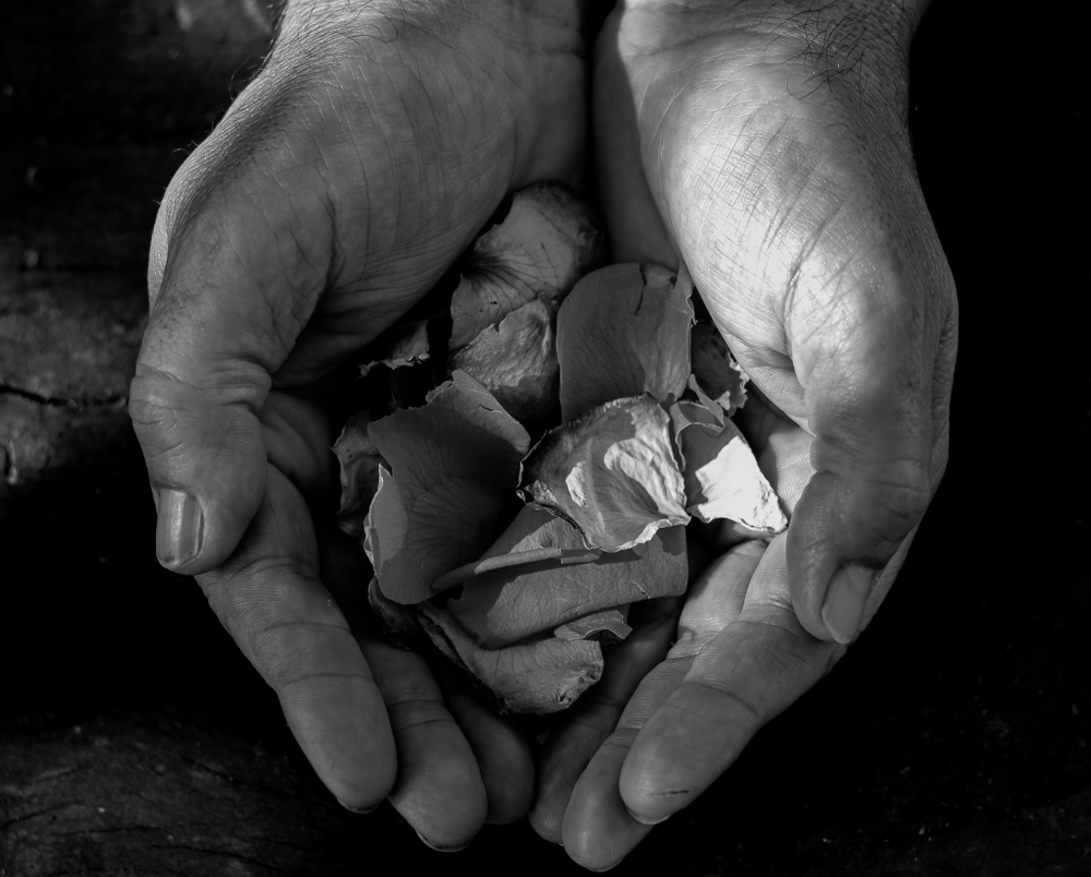 FRANCK BAERST - Le N&B peut aussi cacher de belles couleurs ...