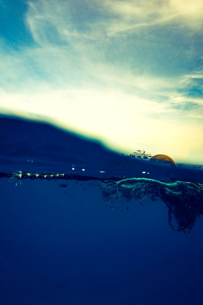 Henry Brant - Henry Brant | LensCulture