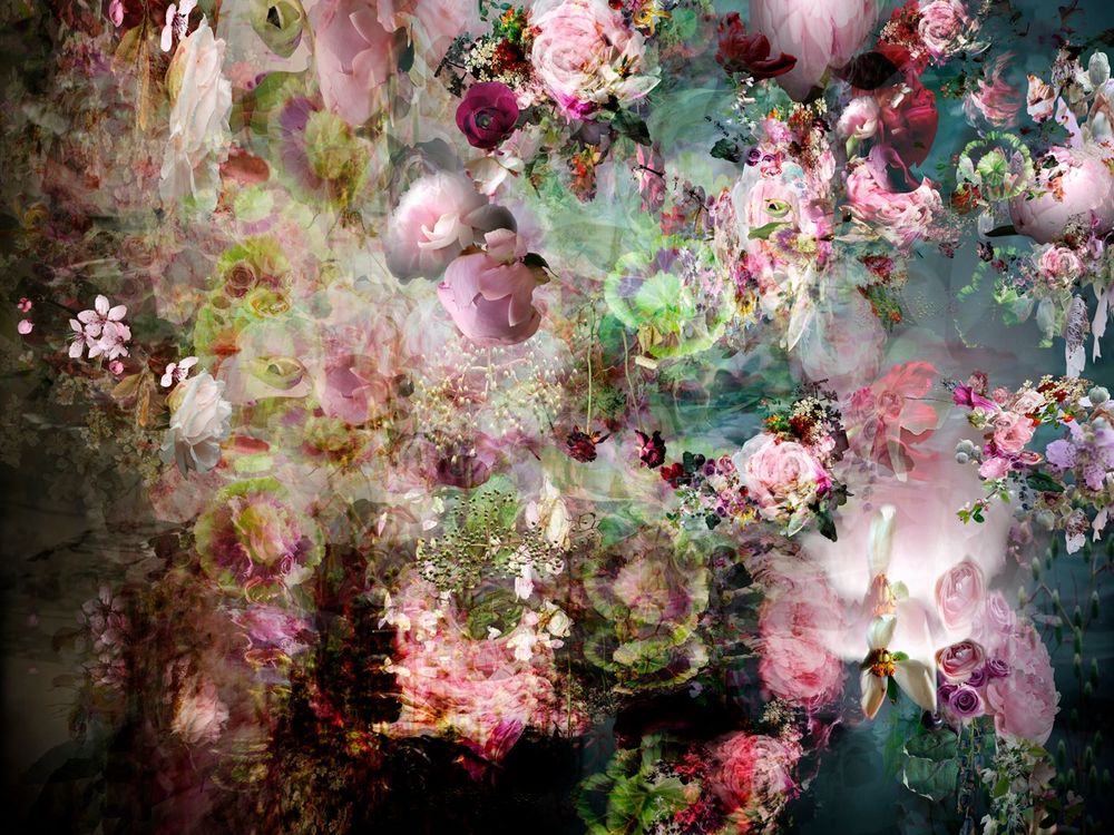 Isabelle Menin - Inland Photographs and Disordered Landscapes | LensCulture