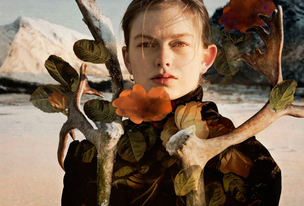 Anne Gundersen - It happens to a bird.. | LensCulture