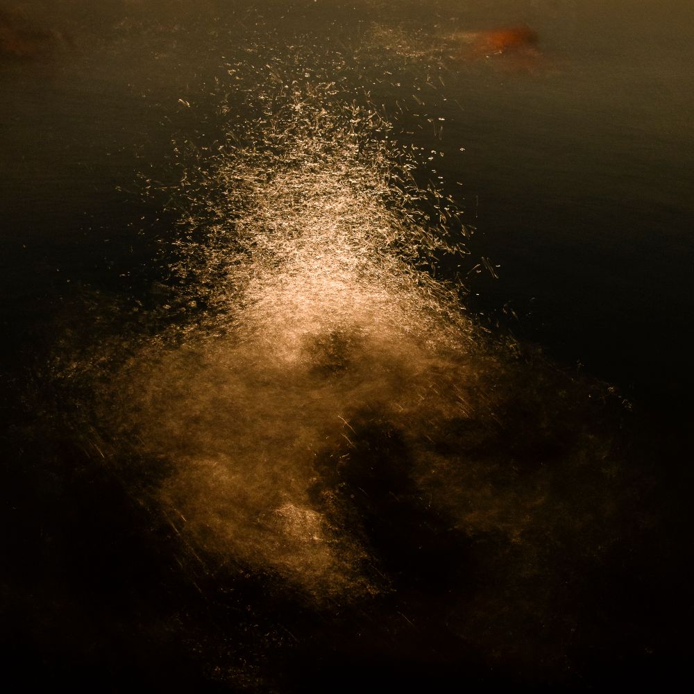 Marie-Claire Greve - Blood Moonlight reflections | LensCulture