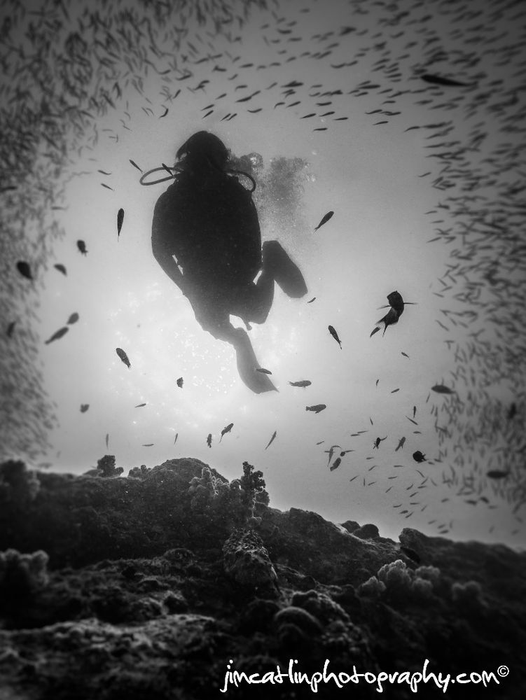 Jim Catlin - Underwater shots | LensCulture