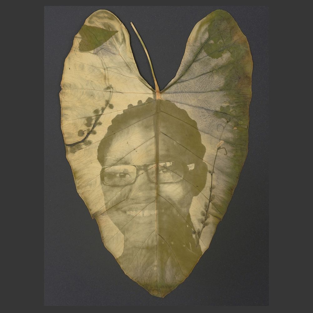 Dóra Papp - Drifted away | LensCulture