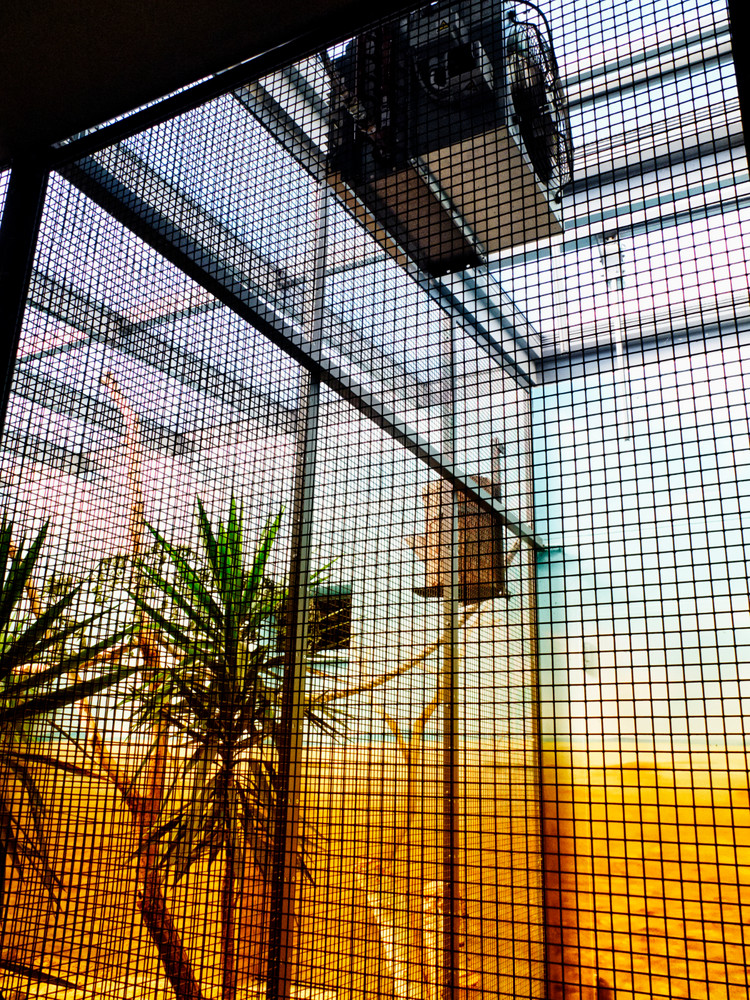 Conrado Velasco - Interior Design in the Age of Extinction | LensCulture