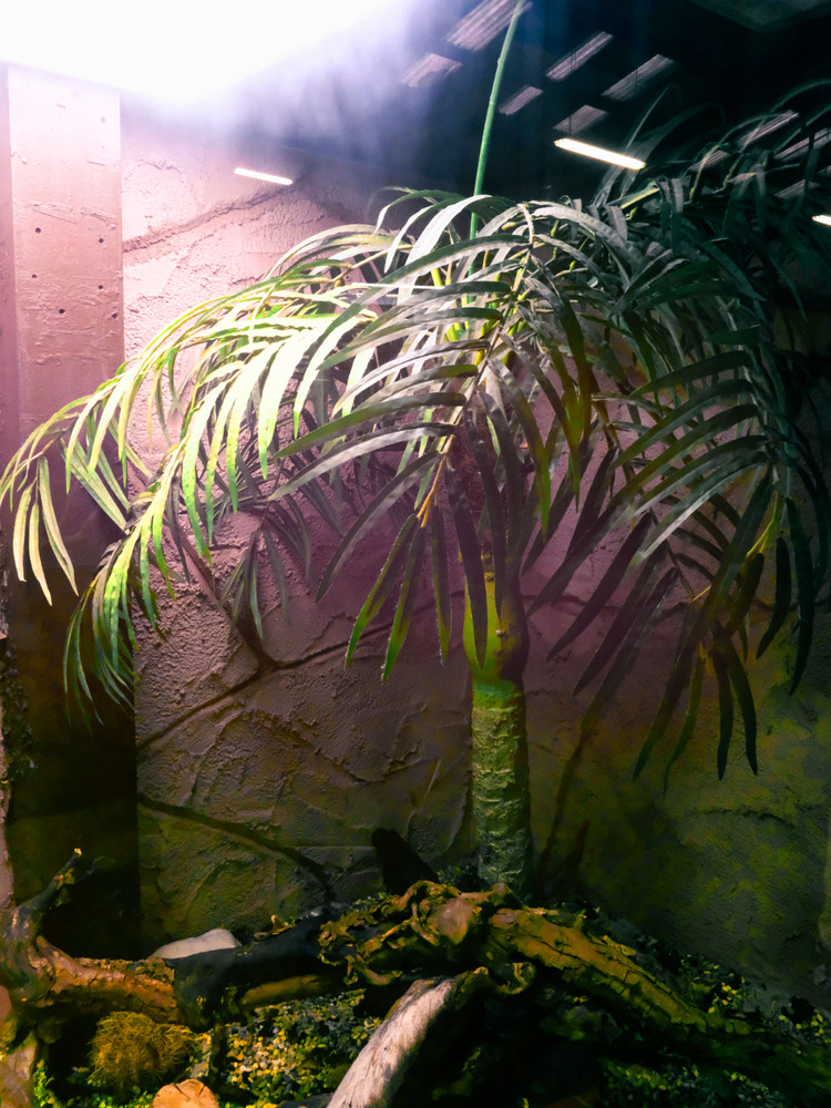 Conrado Velasco - Interior Design in the Age of Extinction | LensCulture