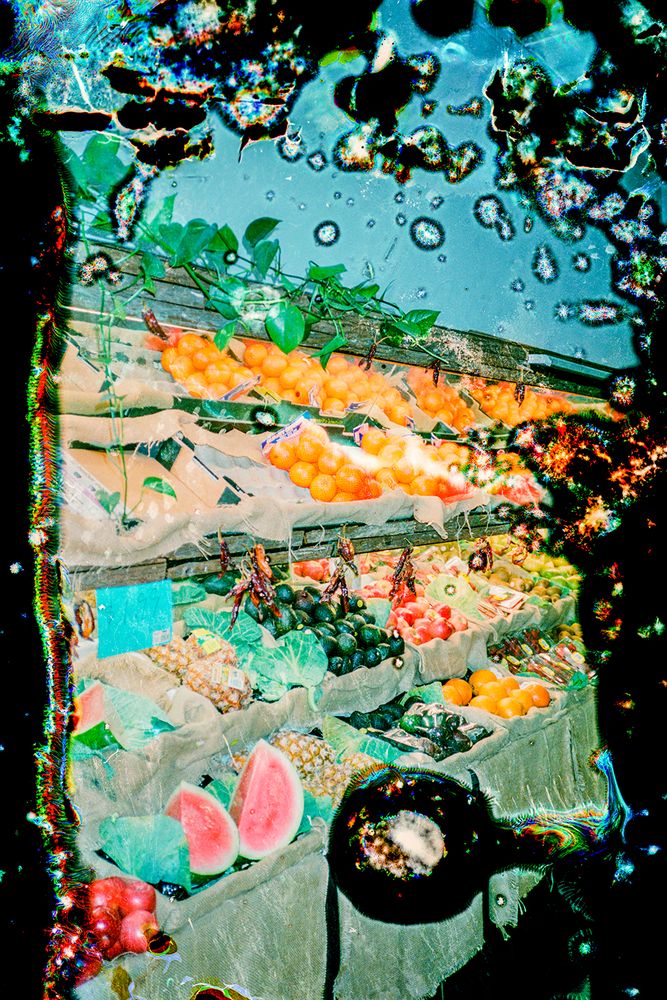 Germs - LensCulture