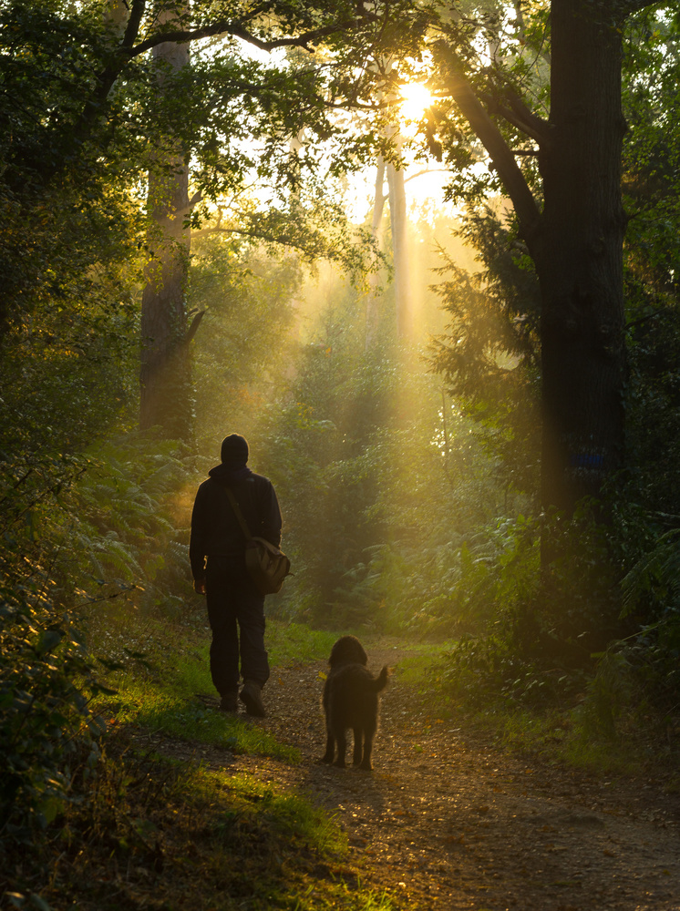 Craig Minto - Untitled | LensCulture