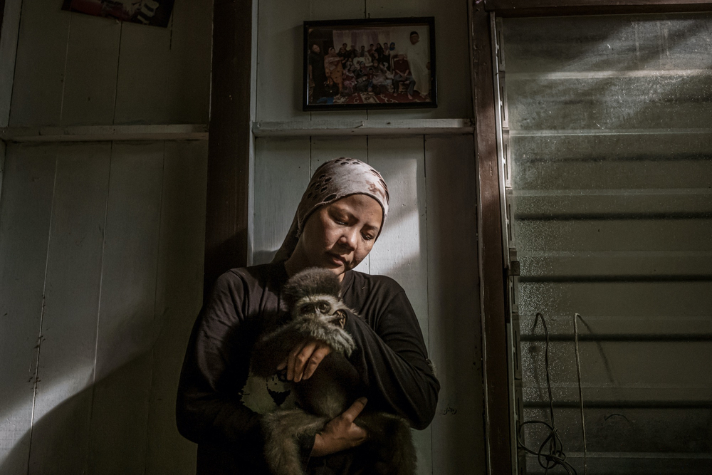 Justin Mott - Kindred Guardians | LensCulture