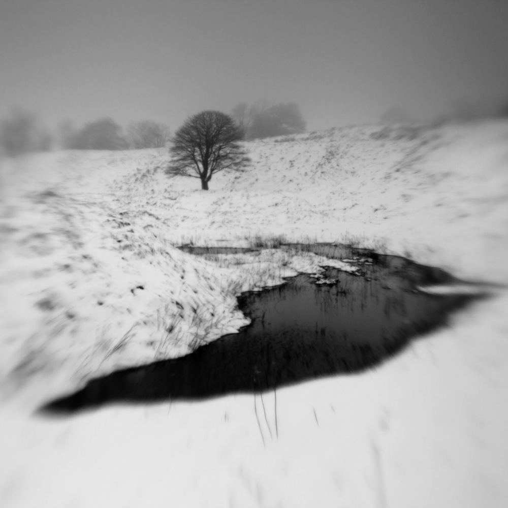 Adam Clutterbuck - Nether Wood | LensCulture