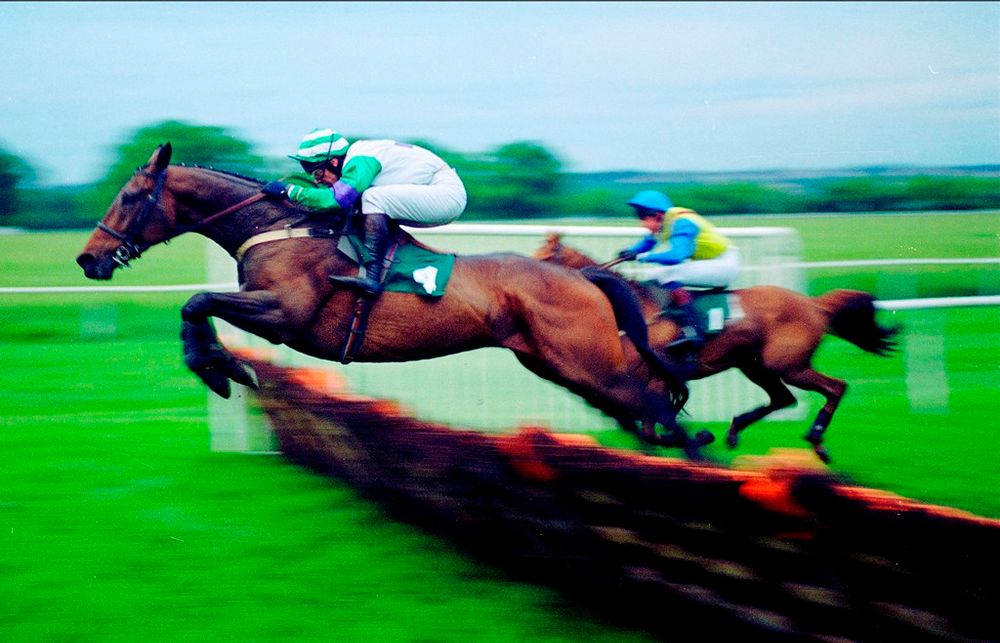 phil horey - National Hunt racing | LensCulture
