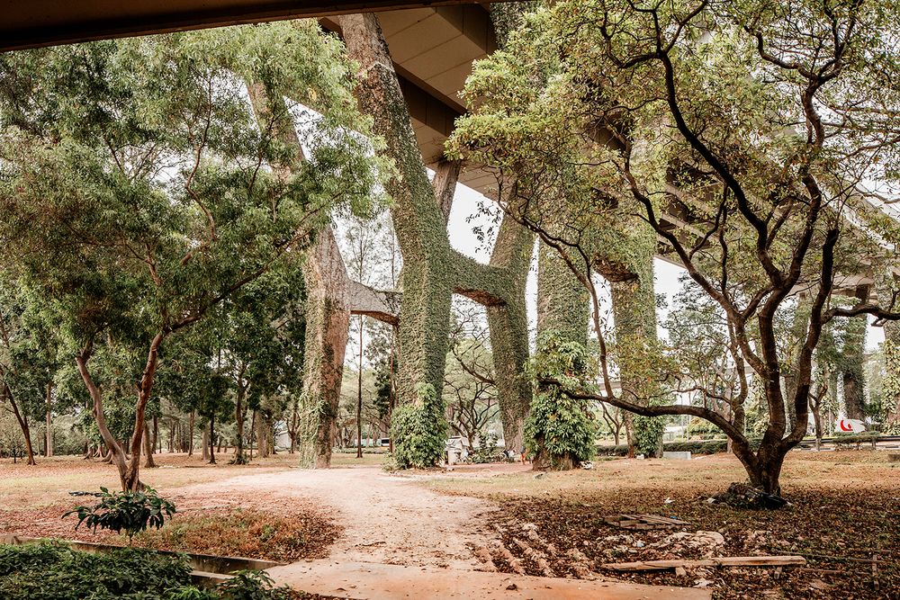 Cyrus Cornut - Singapore 2014 | LensCulture