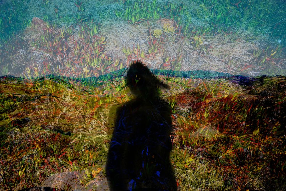 수연 한 - Self-Portrait with Landscape, Traveling | LensCulture