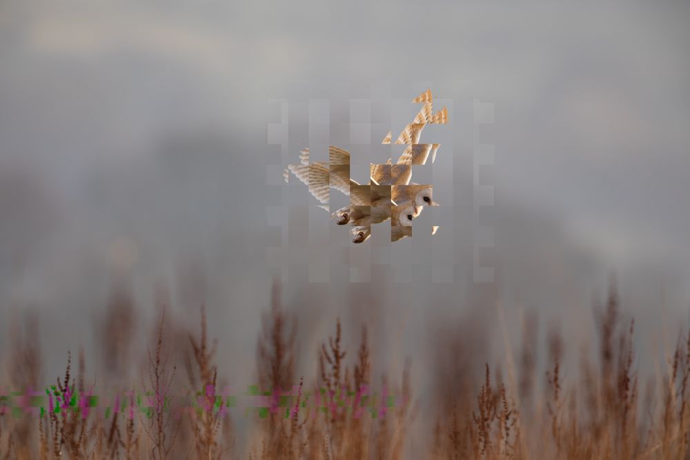 Rich Bunce - Sun L#ne Development | LensCulture