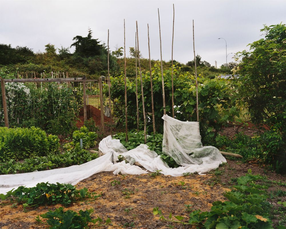 David Pollock - Enclosure | LensCulture