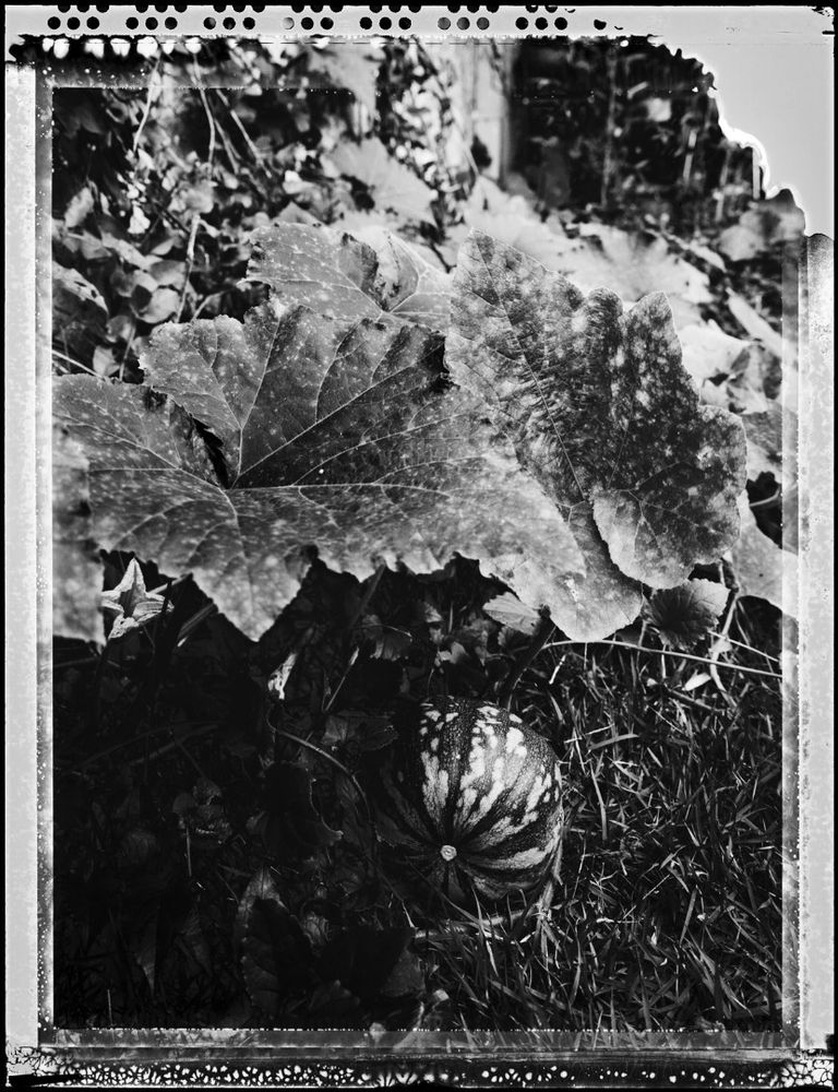 Pedro David - 360 Square Meters | LensCulture