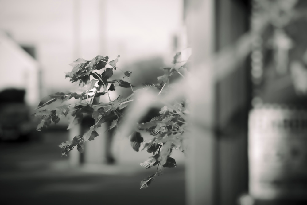 Jenny Rees - Encounter | LensCulture