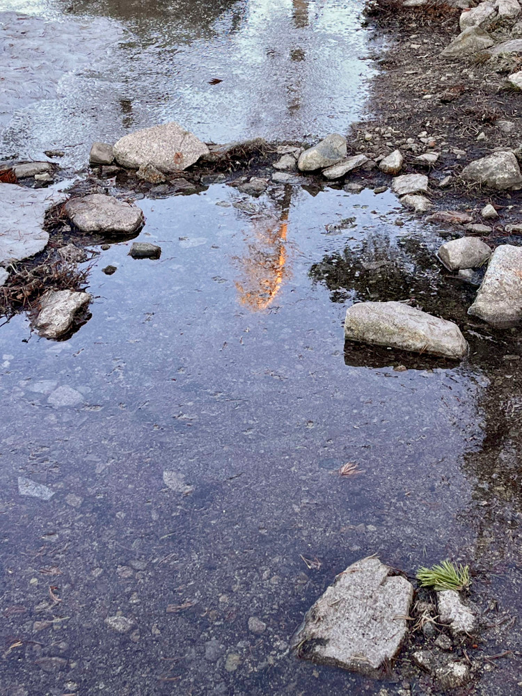 Mike Butterfield - NEW IMAGES | LensCulture