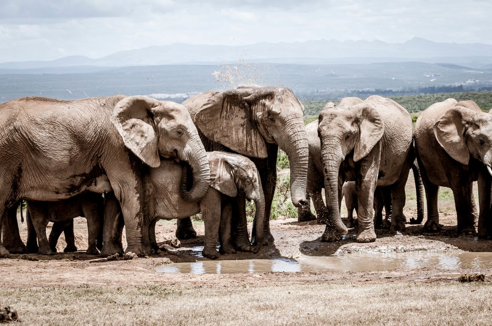 Alexis Ritchie | Exposure Awards 2018 Entry