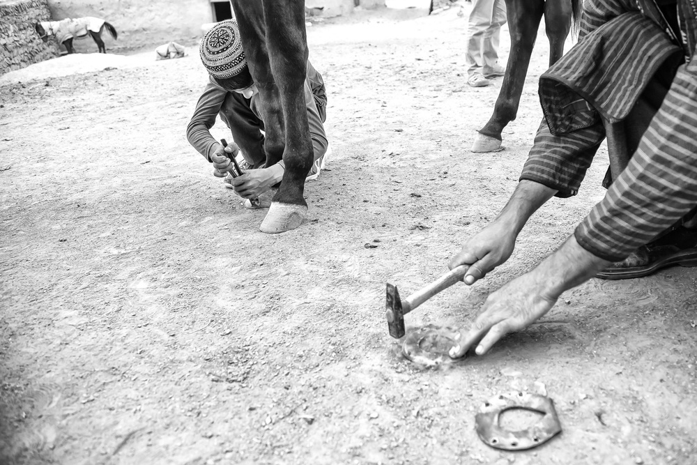 ehsan kamali - An effort to protect identity | LensCulture