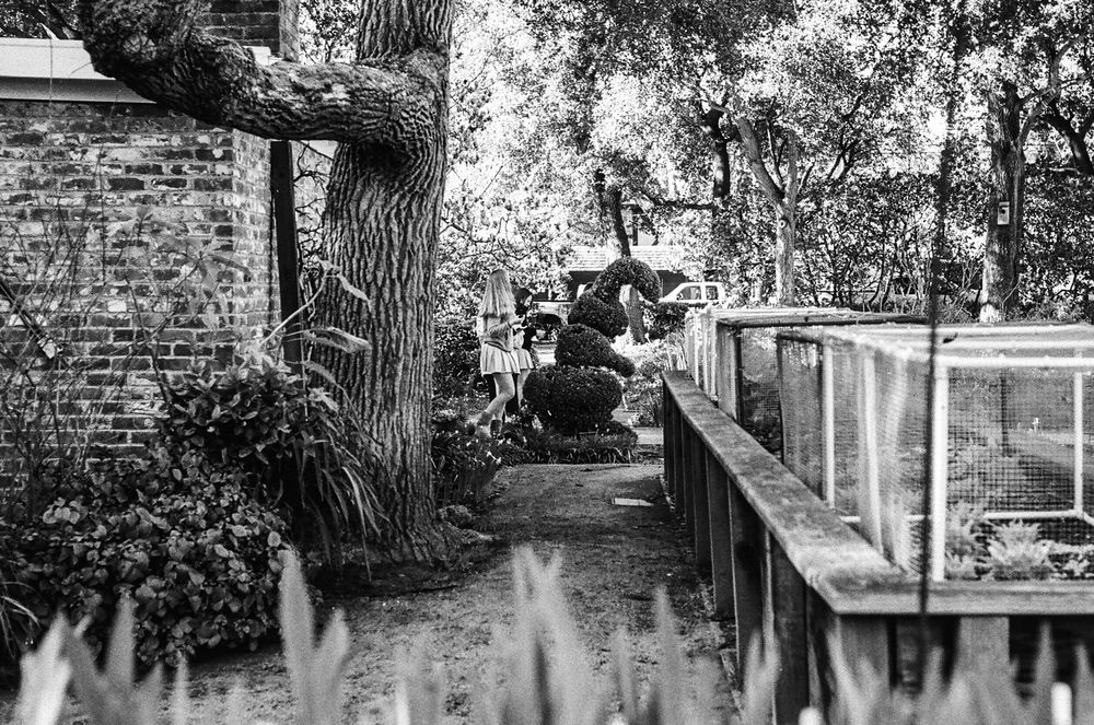 Brian Cannon - Submission | LensCulture