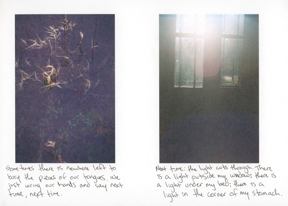 Solène Milcent - Flowers have opened for less | LensCulture