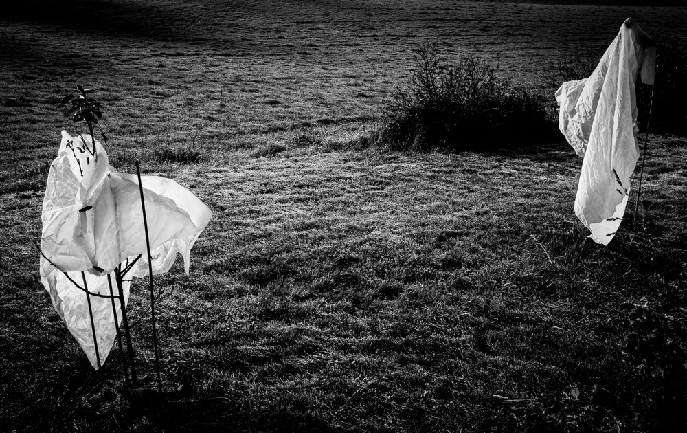 Inger Anne heldal - Transformation of scarecrows | LensCulture