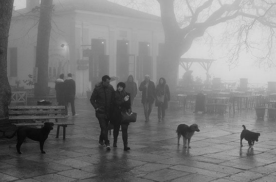 DIMITRIOS TSAKIRIS - Submission | LensCulture