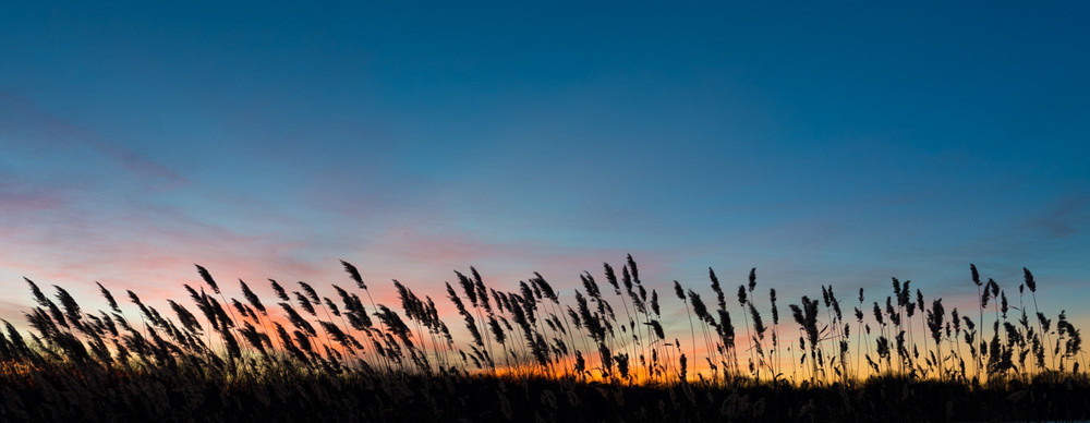 Yuwen Sun - Untitled | LensCulture