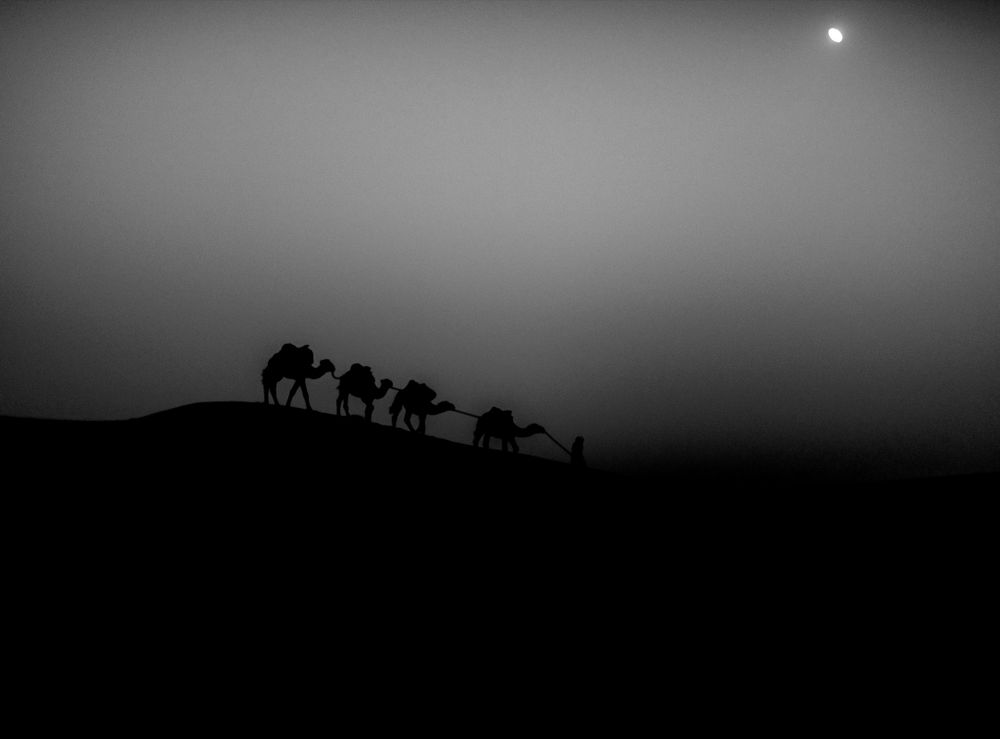 Murray Sye - Random collection | LensCulture