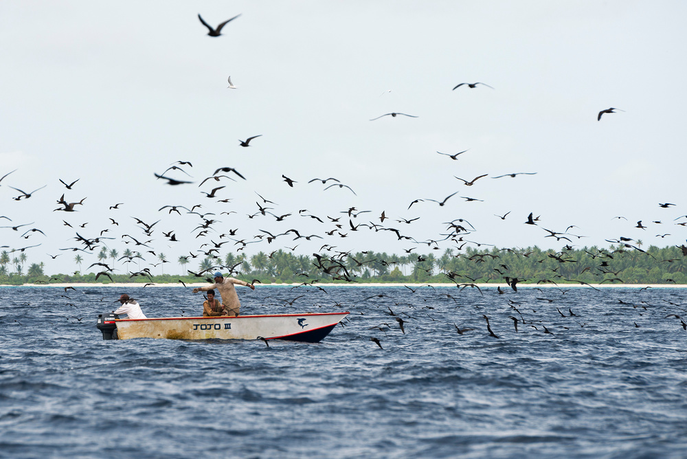 Christian Aslund - Overfishing in Kiribati | LensCulture