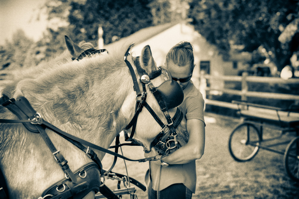 Timothy Floyd - Equus | LensCulture