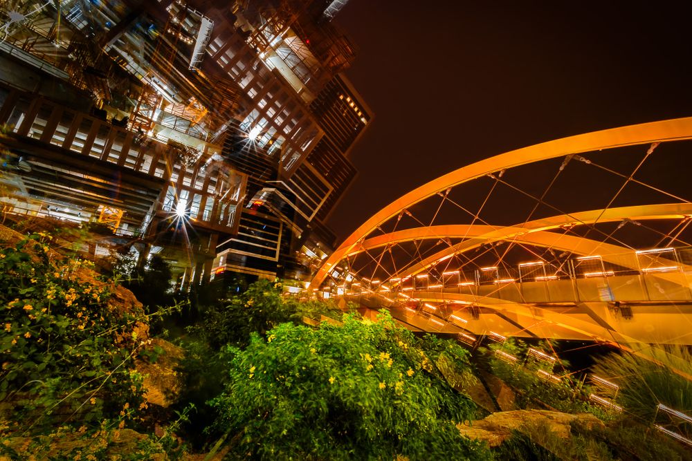 Ron S Levy - (full ver1): The Dreams of a Bridge: The 'Nature' of ...