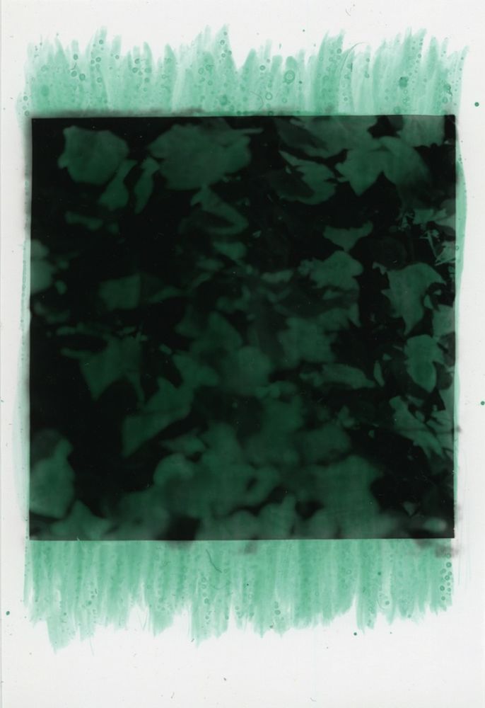 Rachel Graves - Postcard Series | LensCulture