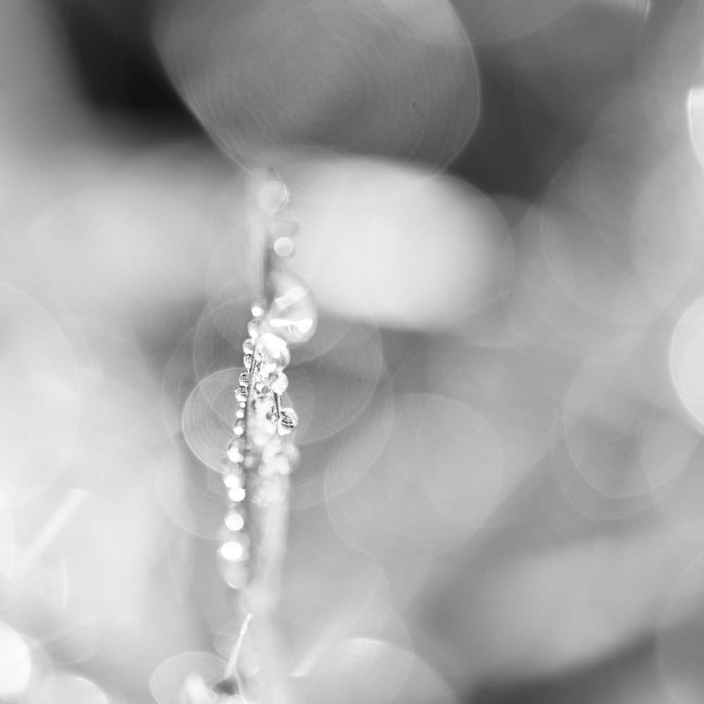 Sandra Bechtold - Untitled | LensCulture