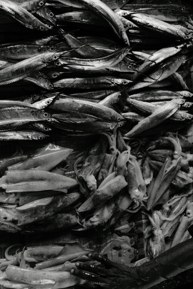 Maria Rodionova - Catch a big fish | LensCulture