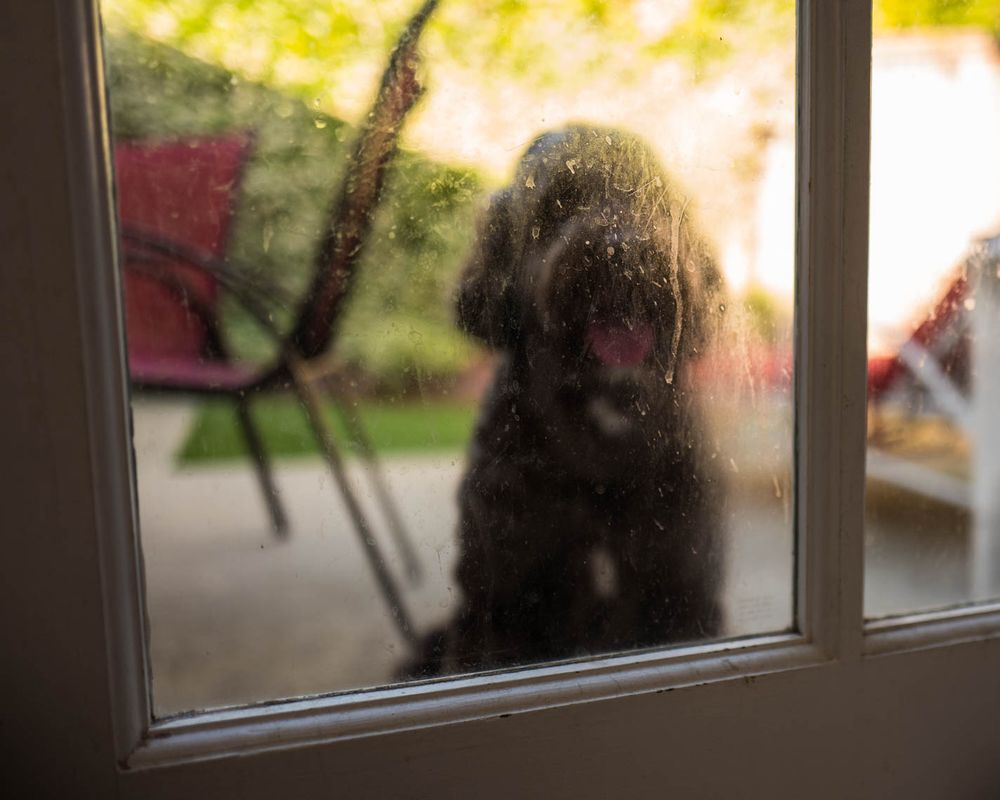 Chris Bader - Submission | LensCulture