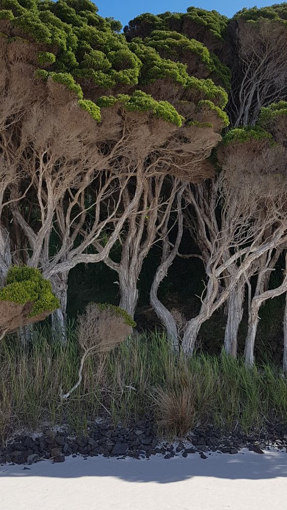 Merryn Jones - Submission | LensCulture